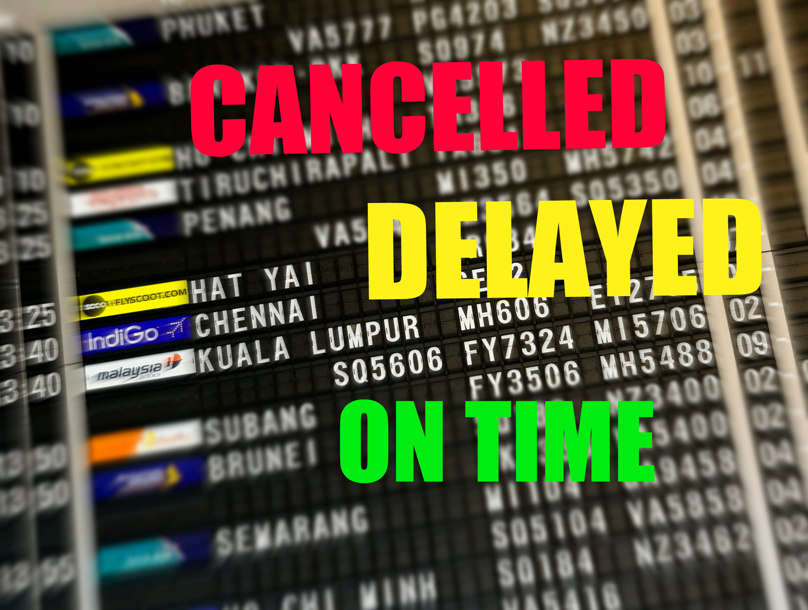 Flight cancellation - What To Do - Corina Reports - The World In 1 Day